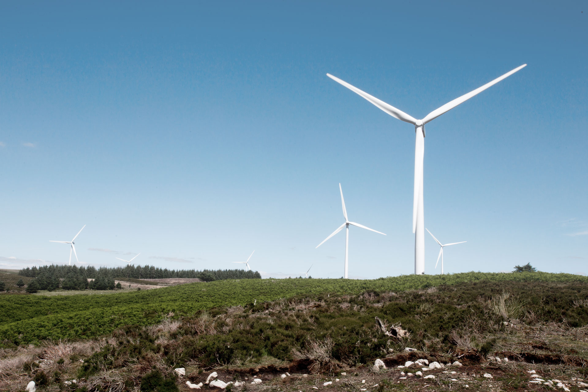 Nyheter - Vattenfall